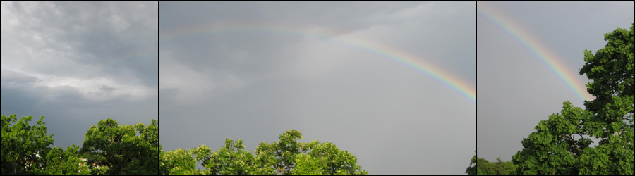 Ellen Wolff Photographer:Rainbow outside my window - Ellen Wolff ...