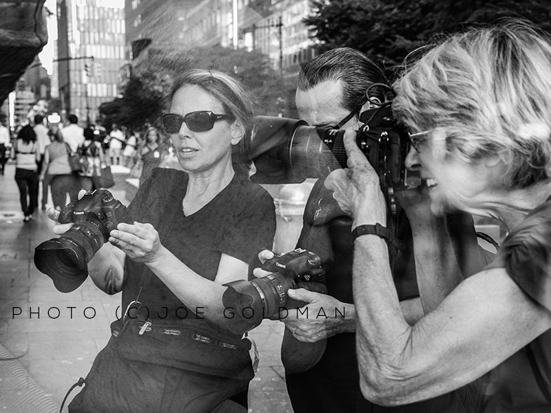 Ellen Wolff Photographer:Joe Goldman Photography - Ellen Wolff Photographer